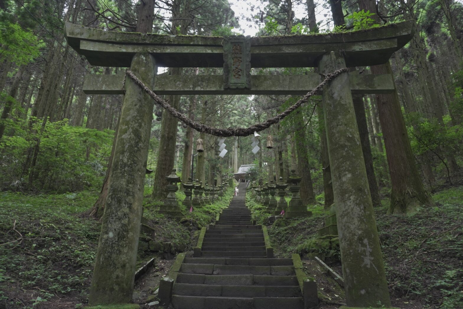 Two-Day Mt. Aso Adventure in Kumamoto, Japan | Beth in Japan Along With ...